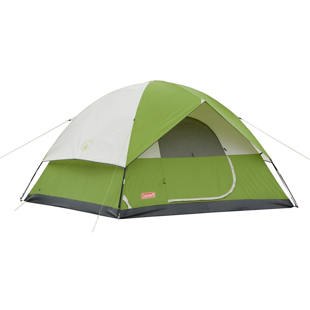 Best 6 Person Tent Reviews of 2019 - Buyer's Guide - Theodgeeks